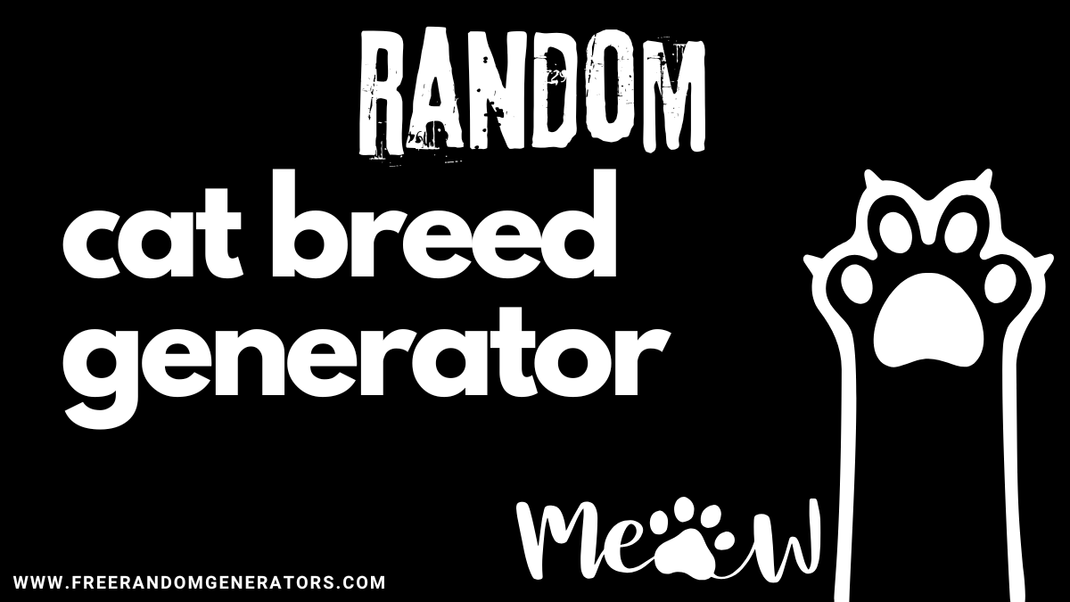 Random Cat Breed Generator | Free Online Tool